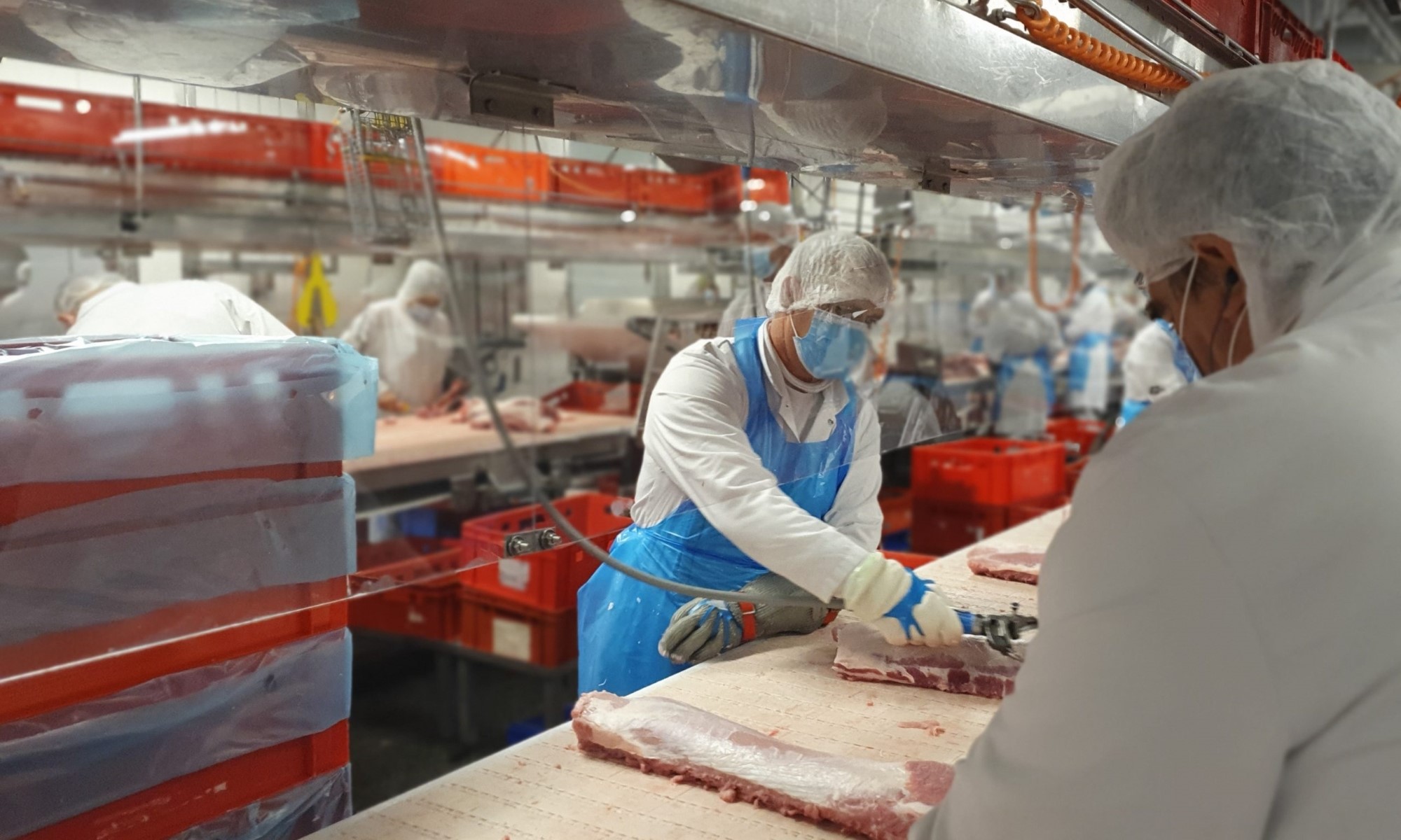 Tönnies aggiorna il software ERP, più sicurezza e report intelligenti ...